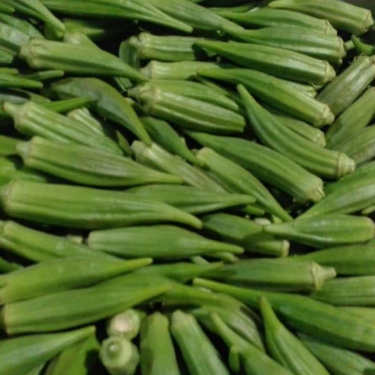 Agricado Farms Uganda Ltd – Fresh from Uganda